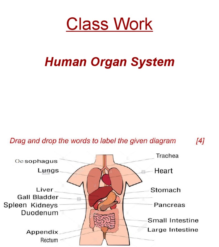 Aarav Ayan Saikat - G6 - Class Work - 1 | PDF