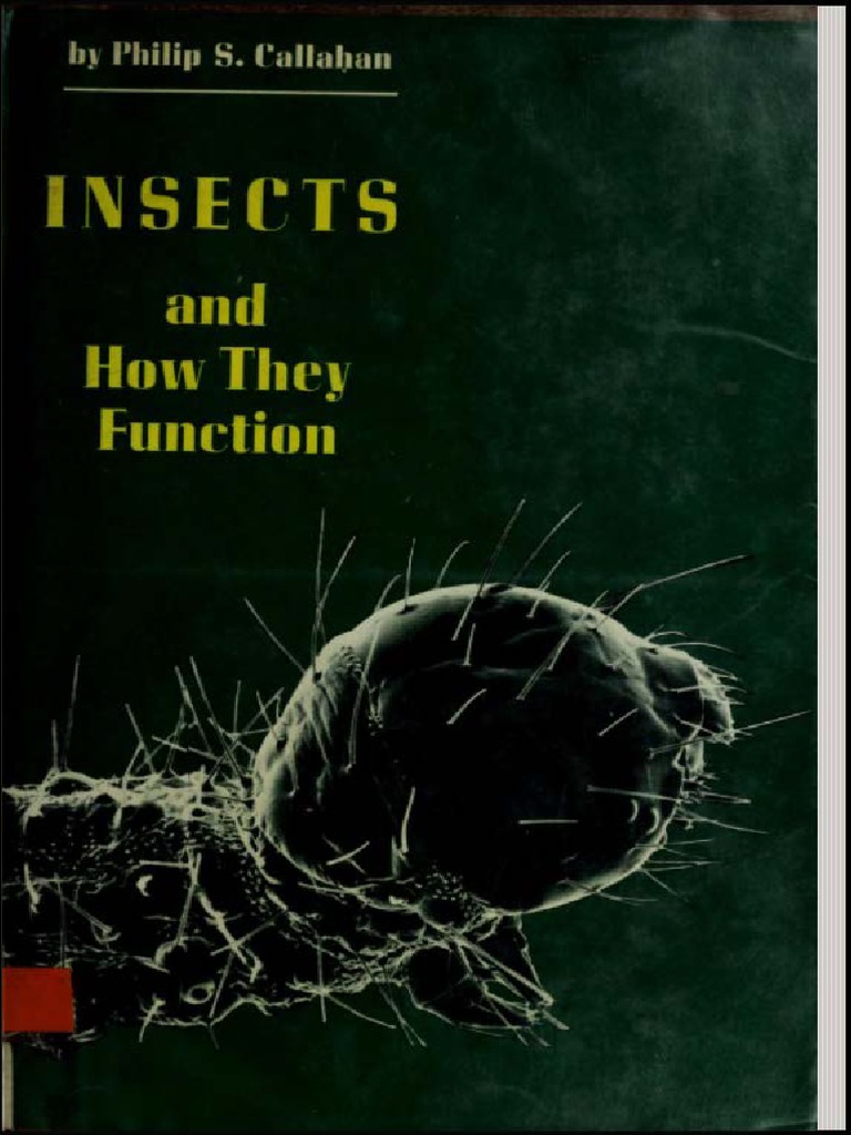 Insects and How They Function | PDF