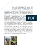 Mutupo - Shona | PDF | Zoology