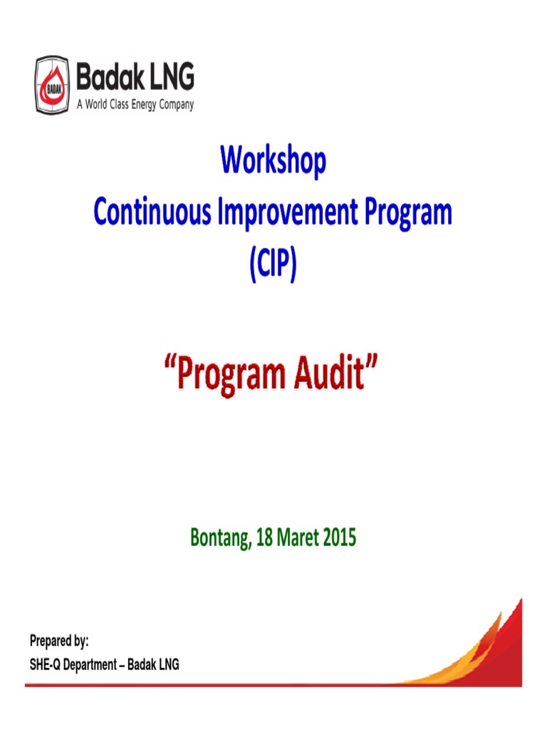 Workshop CIP PTB - 5, Audit CIP | PDF | Pengelolaan Keuangan & Uang