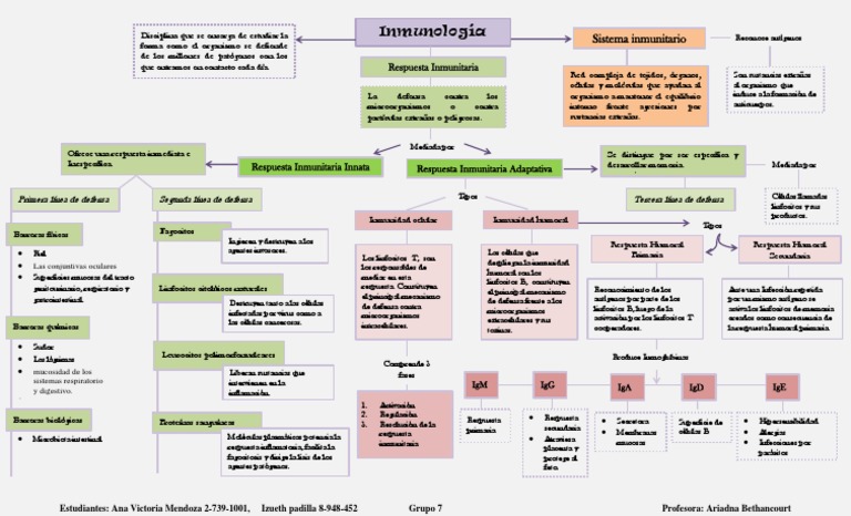 Mapa de Inmunología | PDF | Inmunidad humoral | Sistema inmune