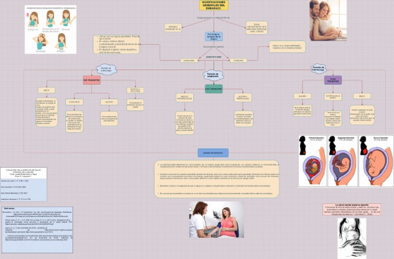 Mapa Conceptual Obstetricia | PDF