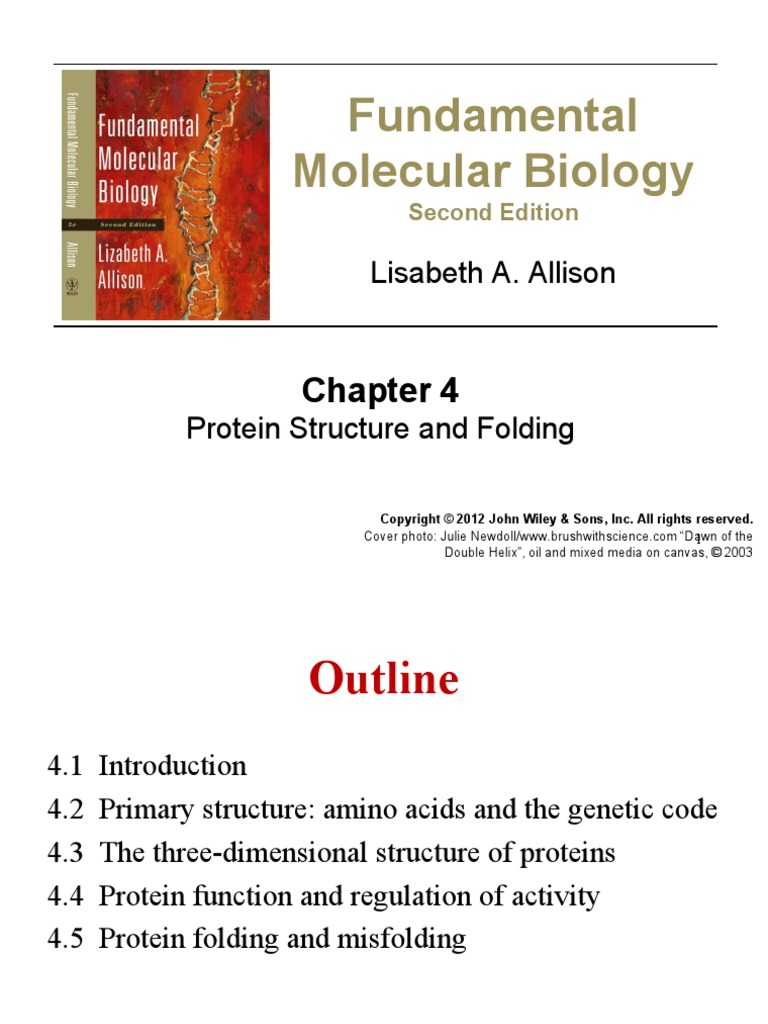 Fundamental Molecular Biology: Lisabeth A. Allison | PDF | Genetic Code ...