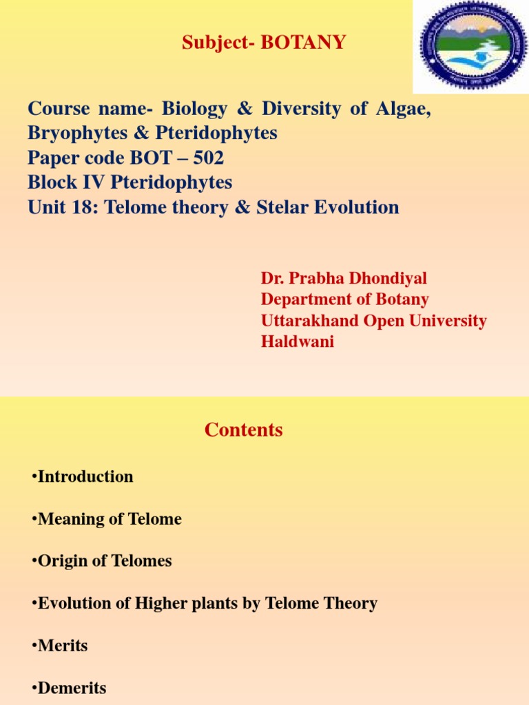 Pteridophytes-Telome Theory and Stelar Evolution by Dr. Prabha ...