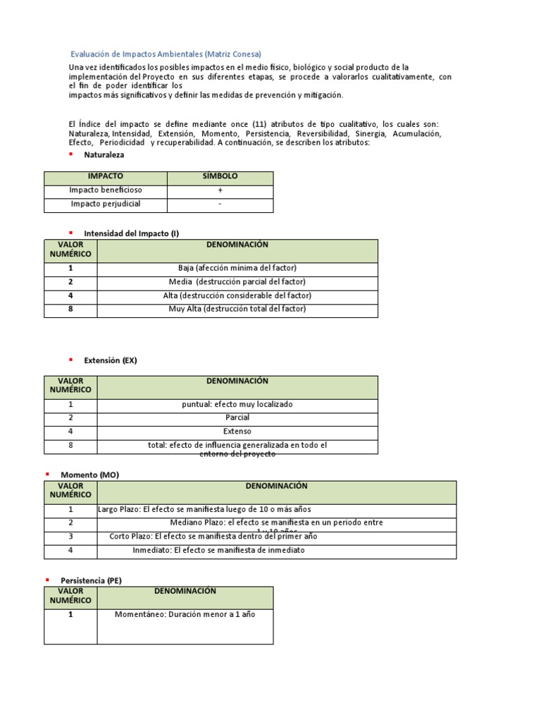 Matriz Conesa - Proyecto Eia | PDF | Evaluación de impacto ambiental | Naturaleza