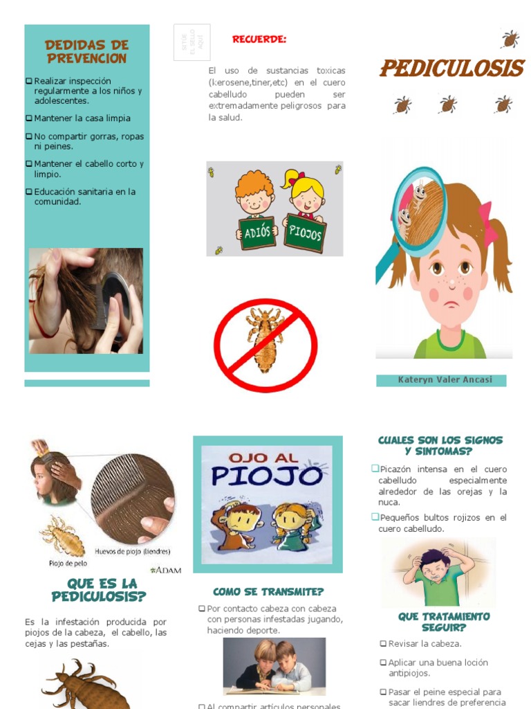 Triptico de Pediculosis | PDF | Bienestar | Medicina