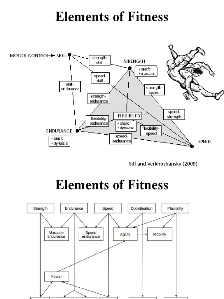 Elements of Fitness: Siff and Verkhoshansky (2009) | PDF | Flexibility ...