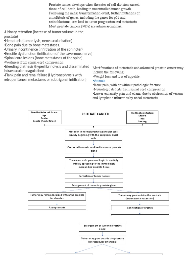 Prostate Ca Flow Chart | PDF | Prostate Cancer | Metastasis