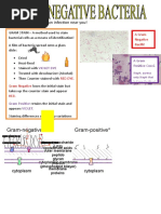 Fecalysis Test Procedures and Results | PDF | Human Feces | Diarrhea
