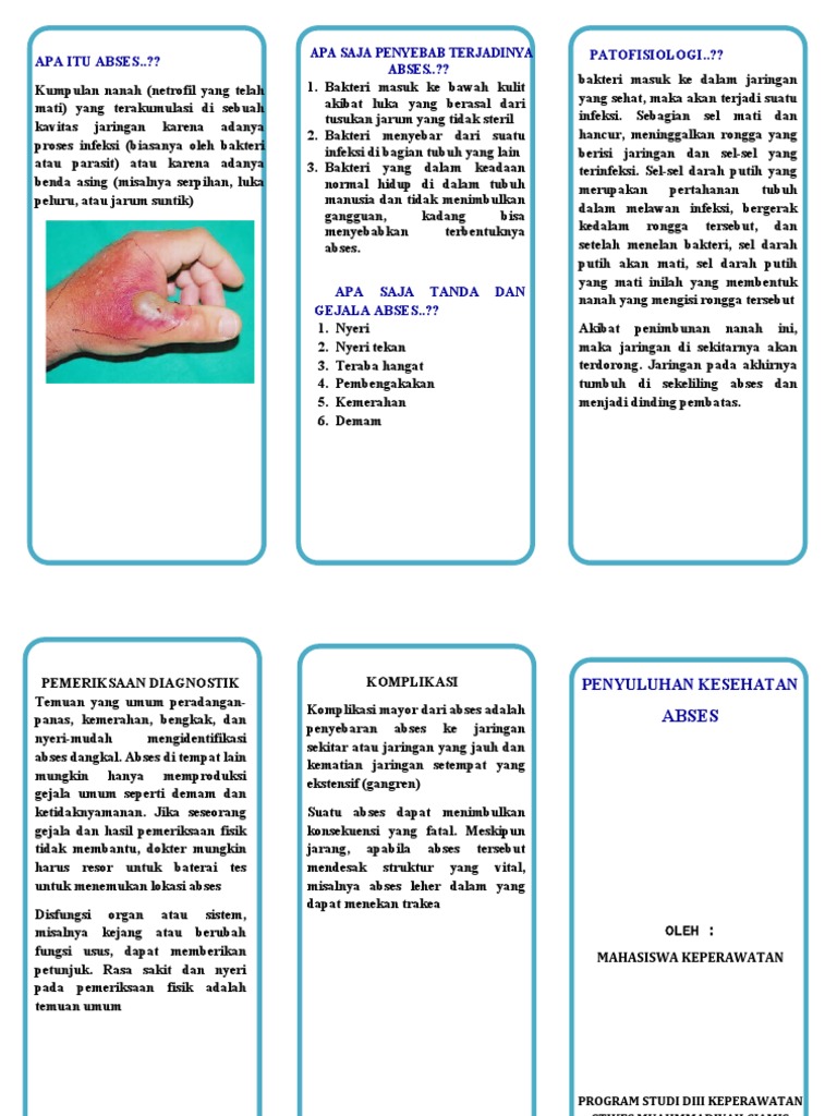 Leaflet Abses | PDF