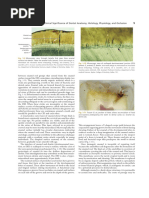 Periodontal Screening and Recording (PSR) System: Criteria For ...