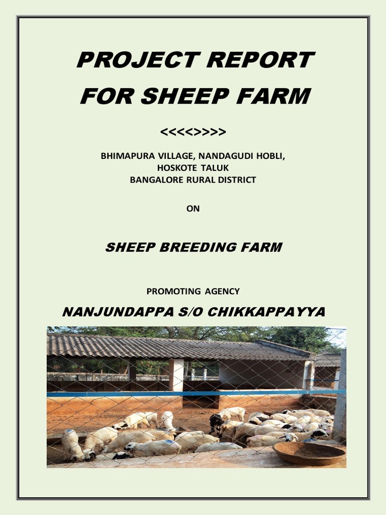 Sheep Farming Report Final | PDF | Sheep | Goat