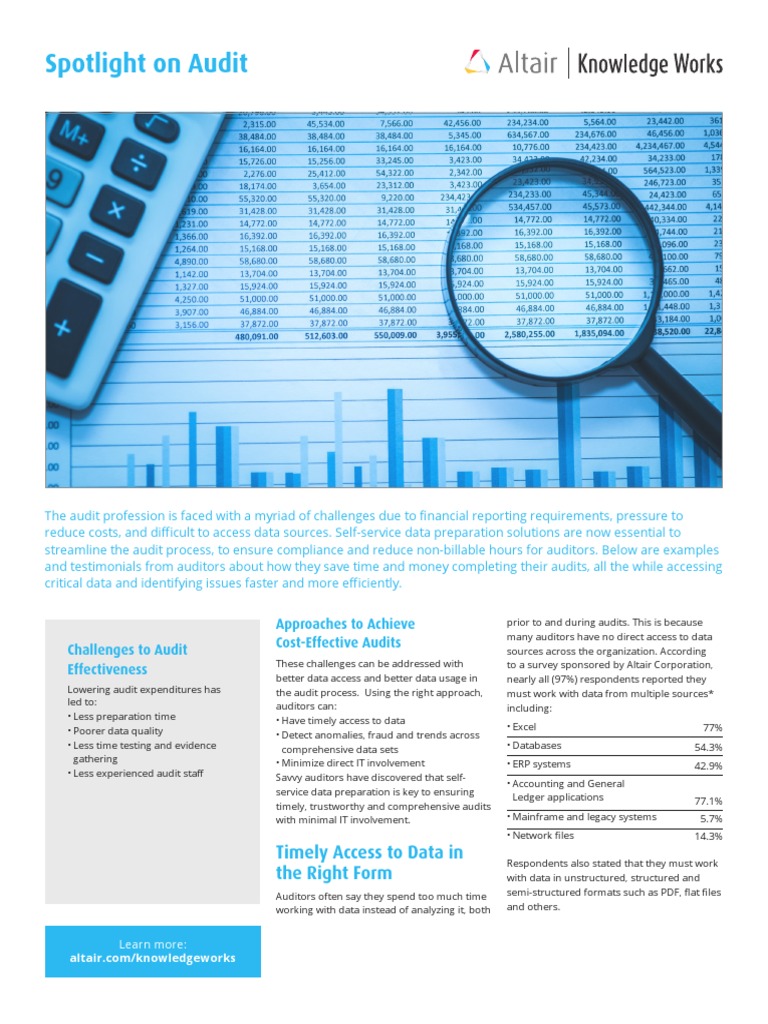 Spotlight On Audit: Timely Access To Data in The Right Form | PDF ...