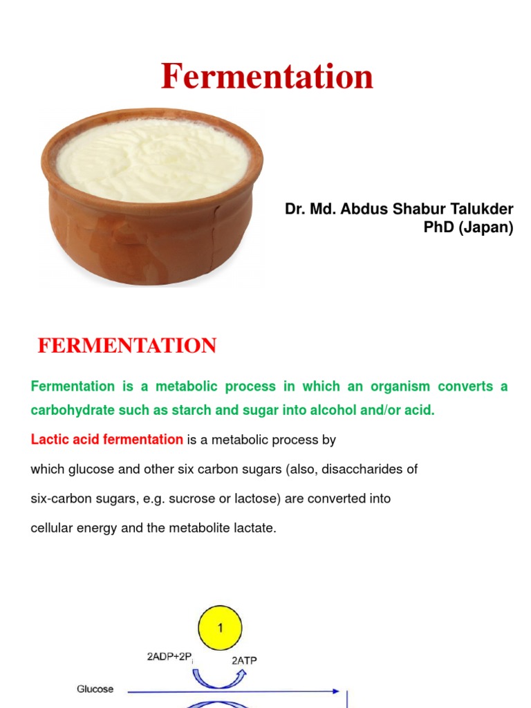 Lactic Acid Fermentation in Dairy Products | PDF | Yogurt | Buttermilk