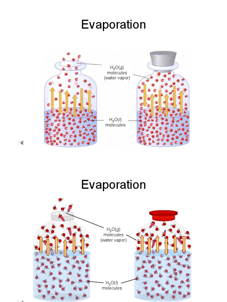 Evaporation: H O (G) Molecules (Water Vapor) | PDF