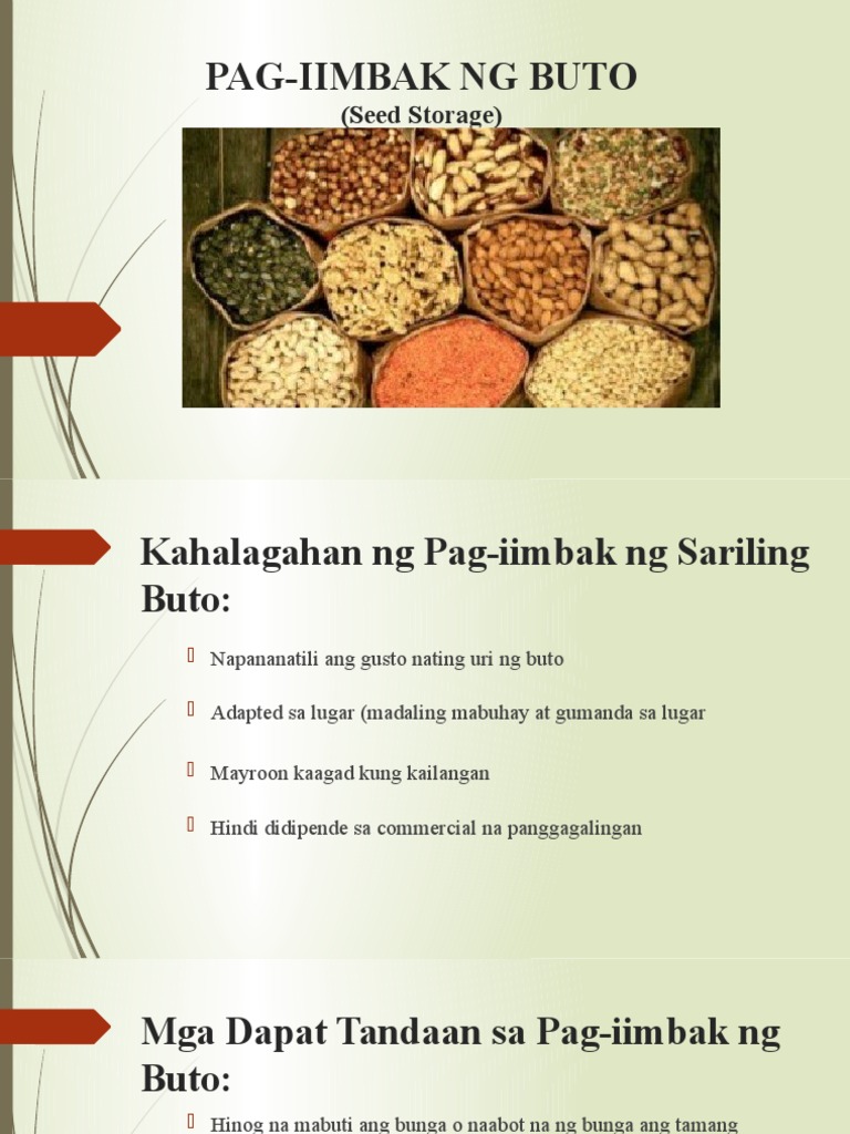 Pag-Iimbak NG Buto | PDF