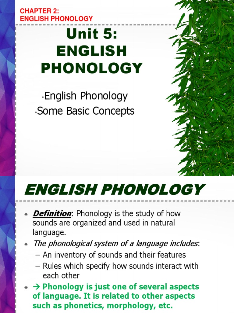 English Phonology: Key Concepts Explained | PDF | Phonology | Phoneme
