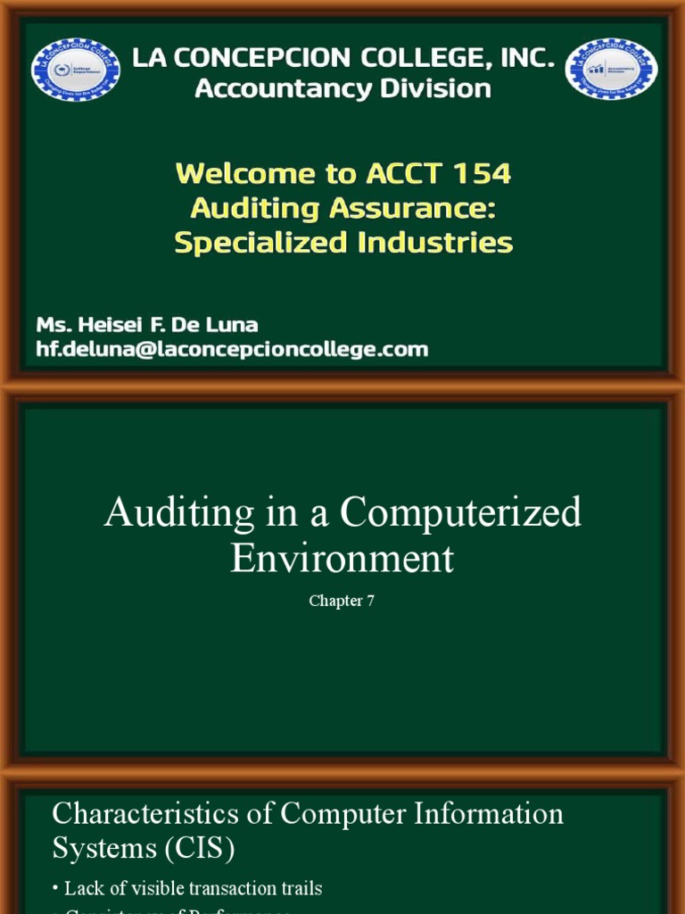 Chapter 7 Auditing in A Computerized Environment | PDF | Computers