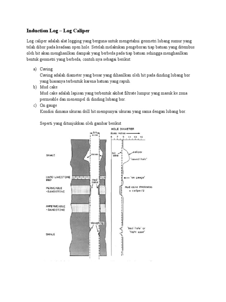 Interpretasi Log Caliper pada Sumur | PDF