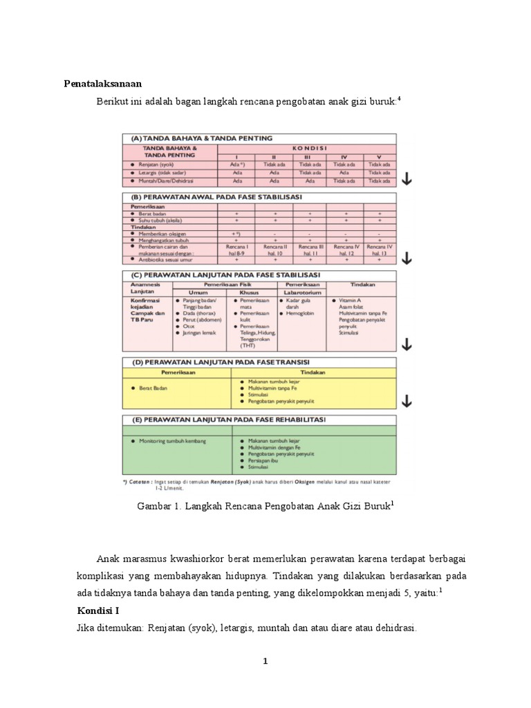 Tatalaksana Dan Pencegahan Gizi Buruk | PDF