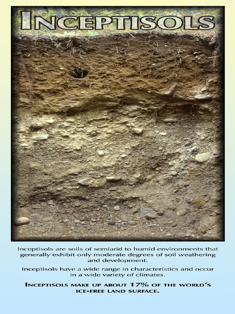 Inceptisol | PDF