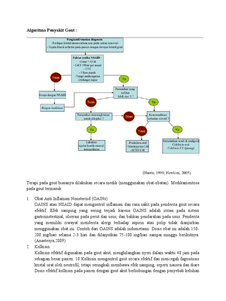 Algoritma Penyakit Gout Dan KIE | PDF