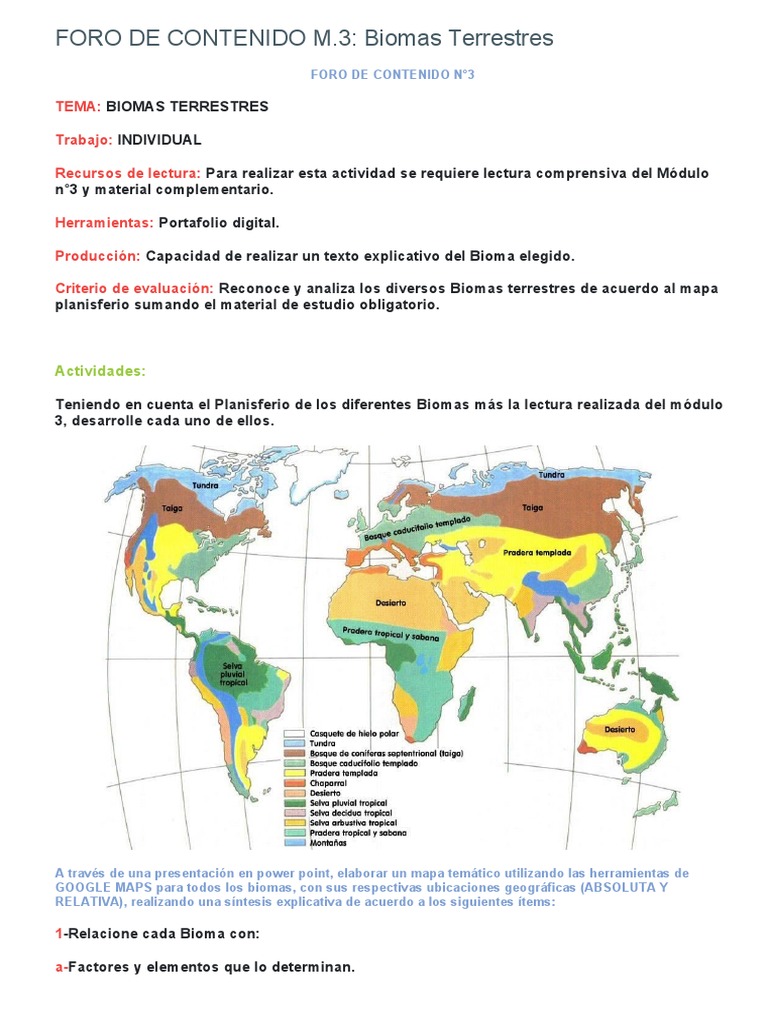 Foro de Contenido m3 | PDF