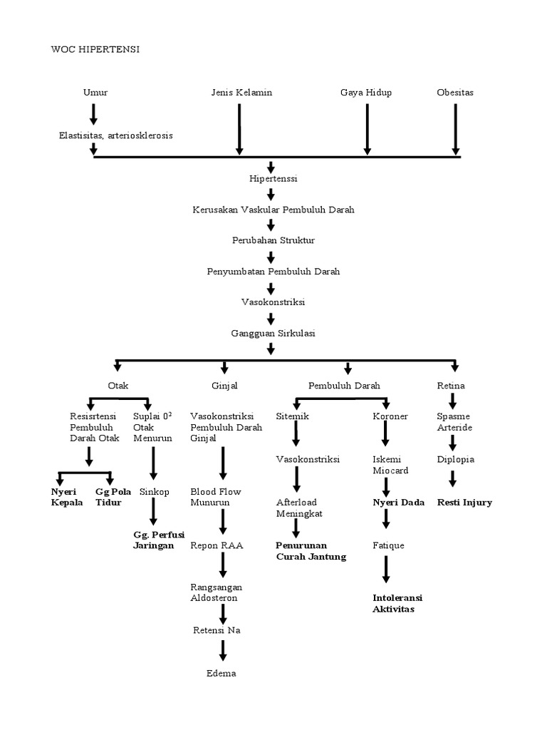 Woc Hipertensi | PDF