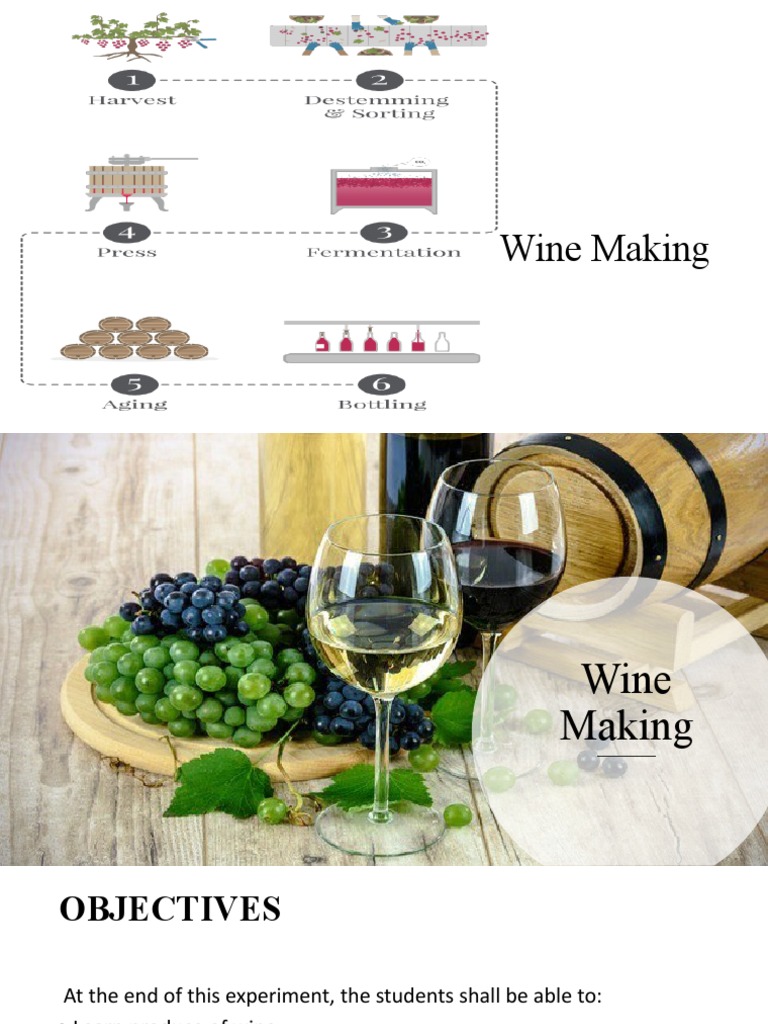 Wine Making | PDF