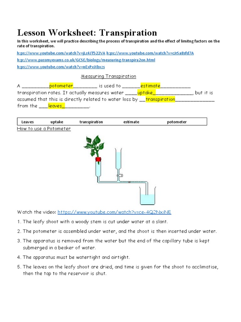 Year 12 Worksheet On Transpiration | PDF | Stoma | Physiology
