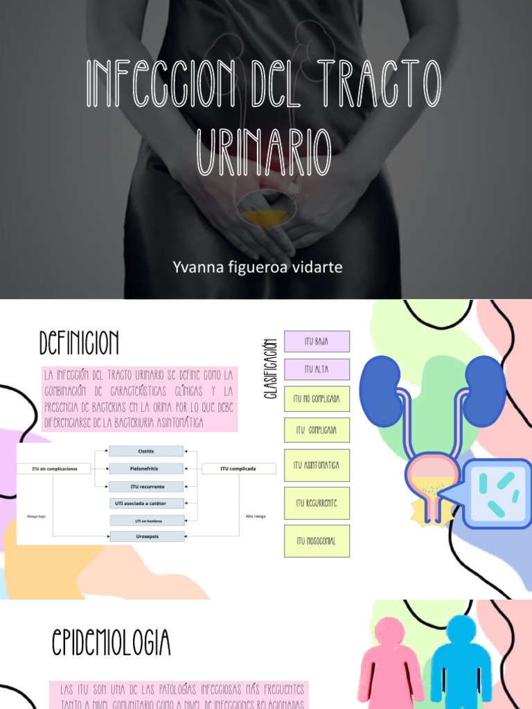 Definición y Clasificación de ITU | PDF | Urología | Sistema urinario
