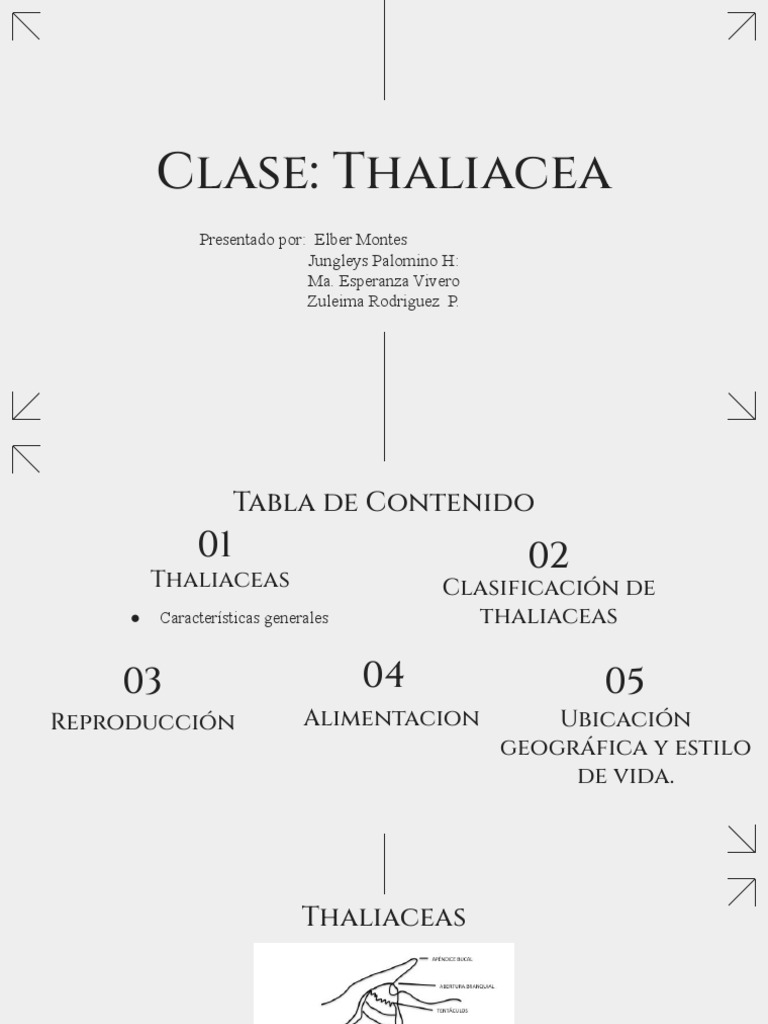 Clase Thaliacea: Características y Hábitat | PDF | Estudios de idiomas ...