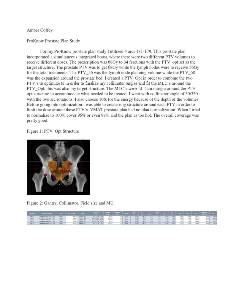 Amber Coffey Prostate Plan Proknow | PDF | Nature