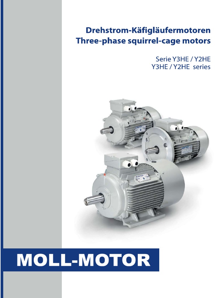 Moll Motor Ie2 | PDF