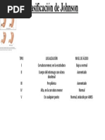 Clasificacion de Johnson | PDF