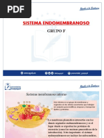 Zimogenos o Proenzimas | PDF | Salud y bienestar