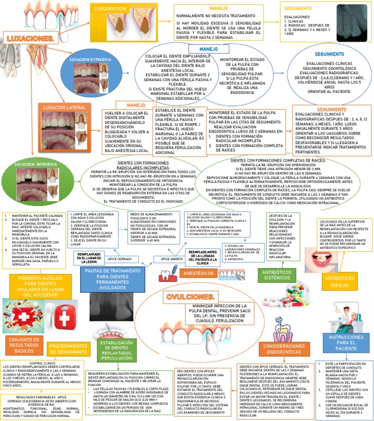 Mapa Mental Dani PDF | PDF | Odontología | Ramas de Odontología