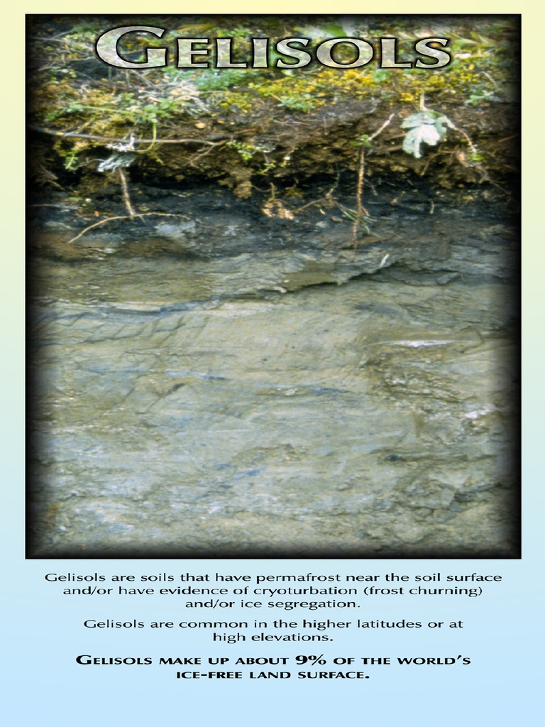 Gelisols | PDF