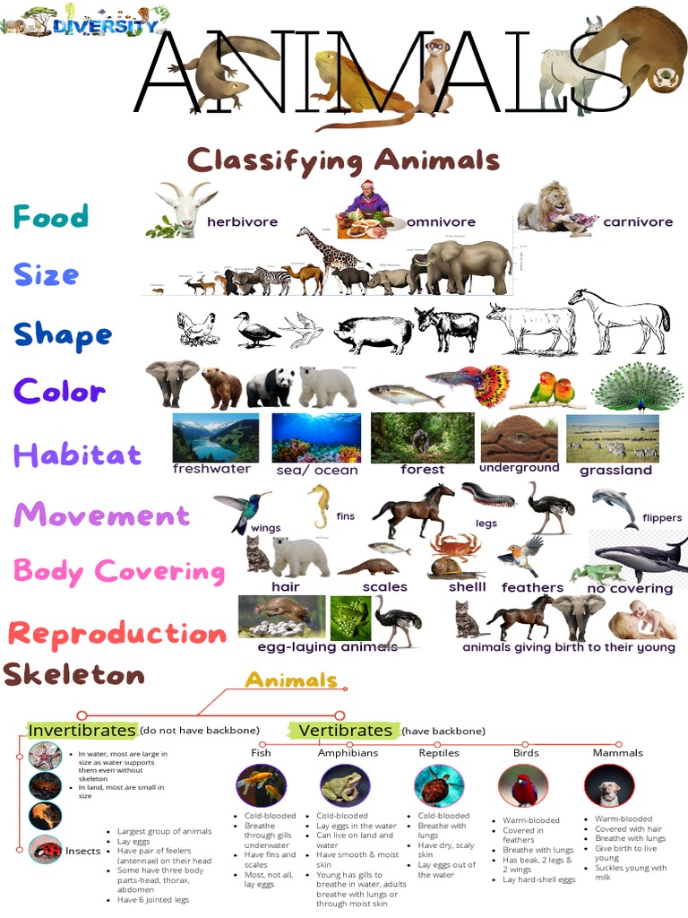 Diversity Animals | PDF | Egg | Mammals
