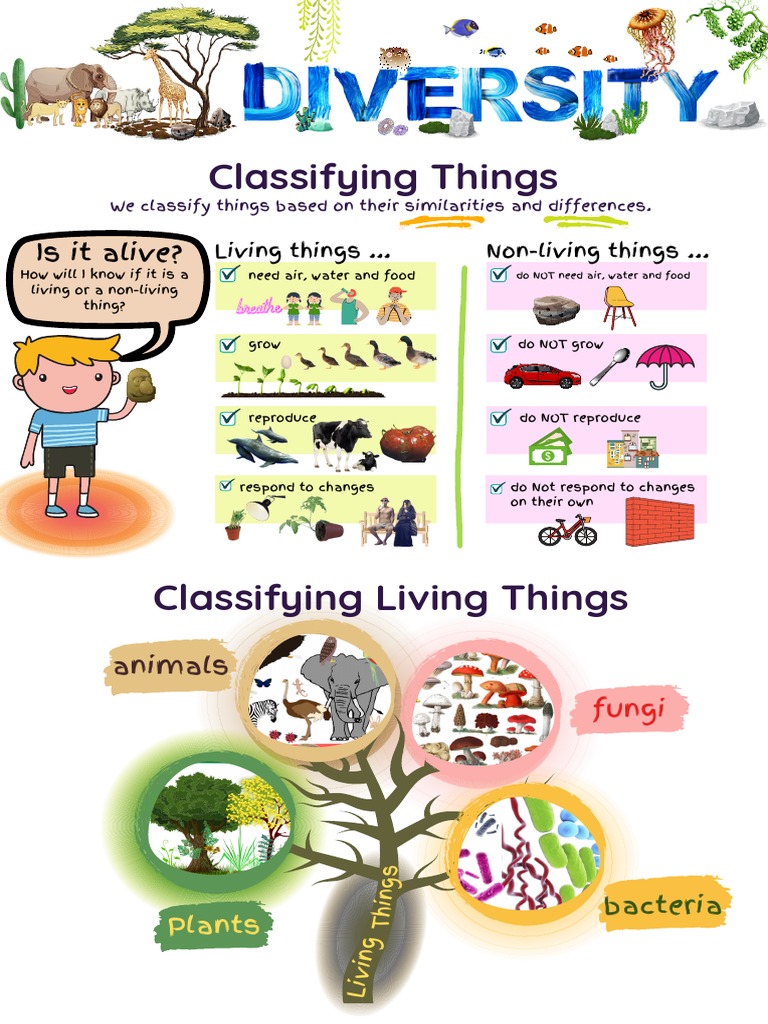 Diversity Classification | PDF