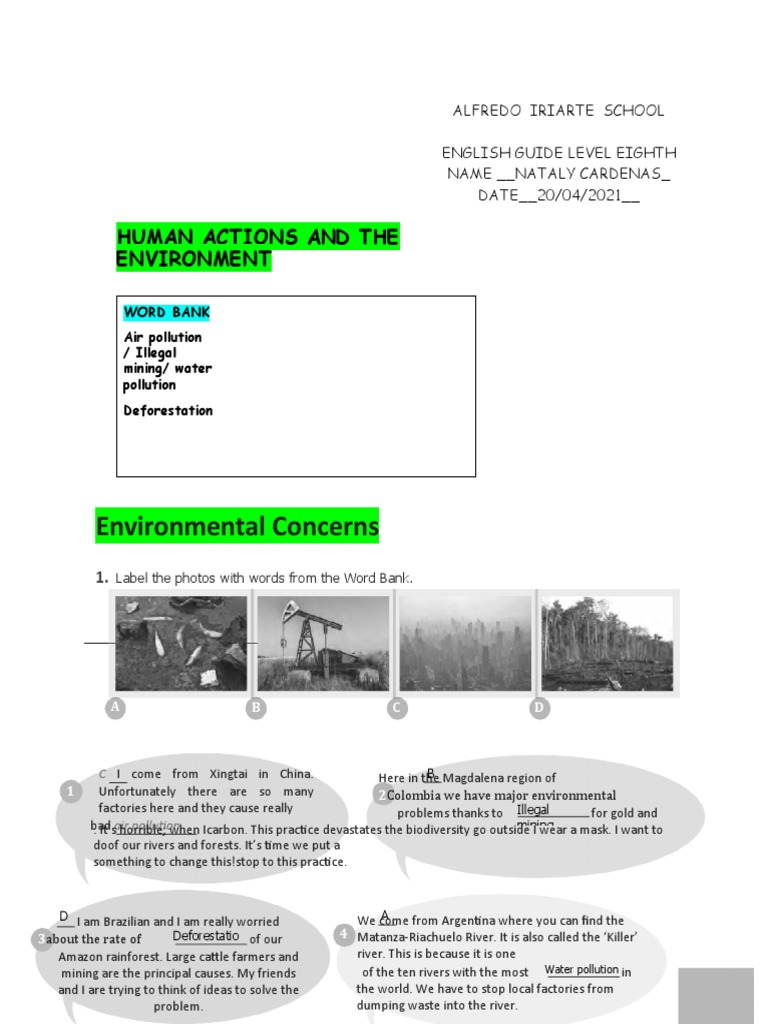Eighth Grade English: Environmental Impact Guide | PDF | Deforestation ...