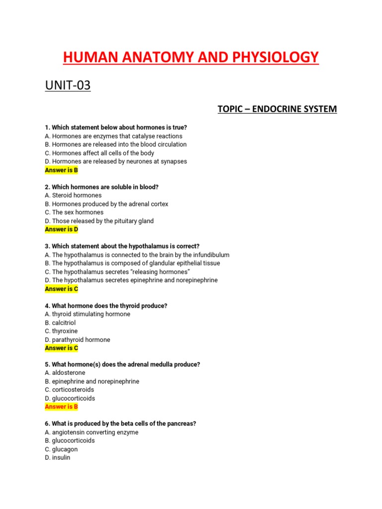 Endocrine System Overview and Hormones | PDF | Endocrine System | Hormone