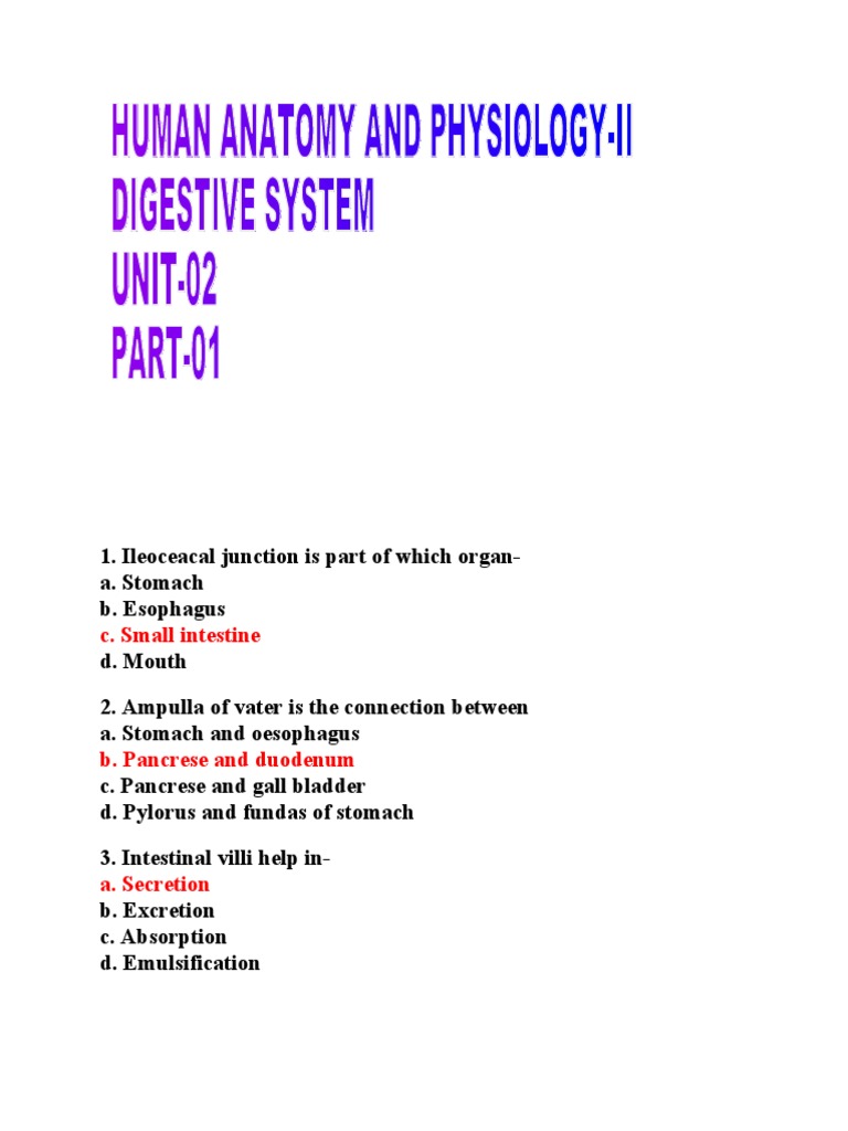 Hap 2 Unit 02 Part 1 Pdf Stomach Gastrointestinal Tract