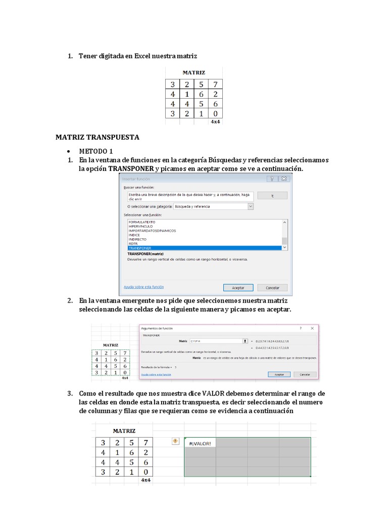 Manual Matrices Excel | PDF