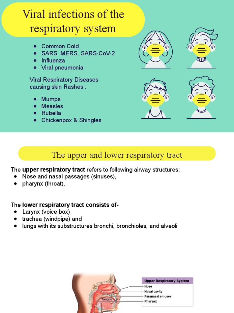 Viral Infection of The Respiratory System | PDF | Respiratory Tract | Virus