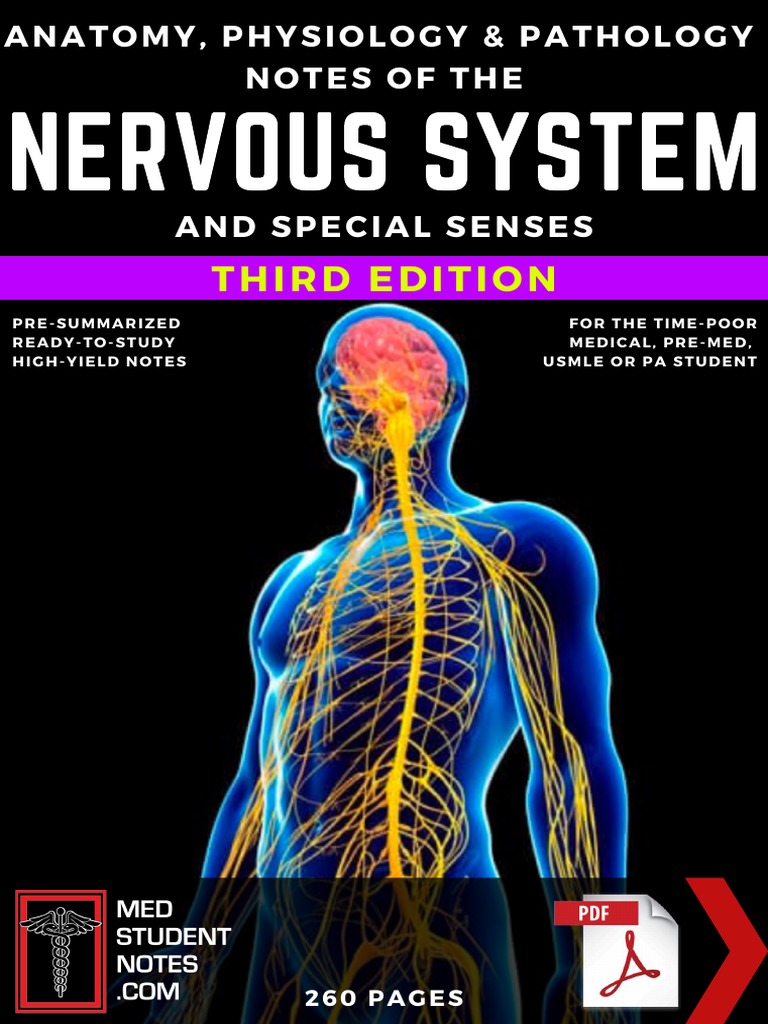 Nervous System: Third Edition | PDF | Central Nervous System | Neuron