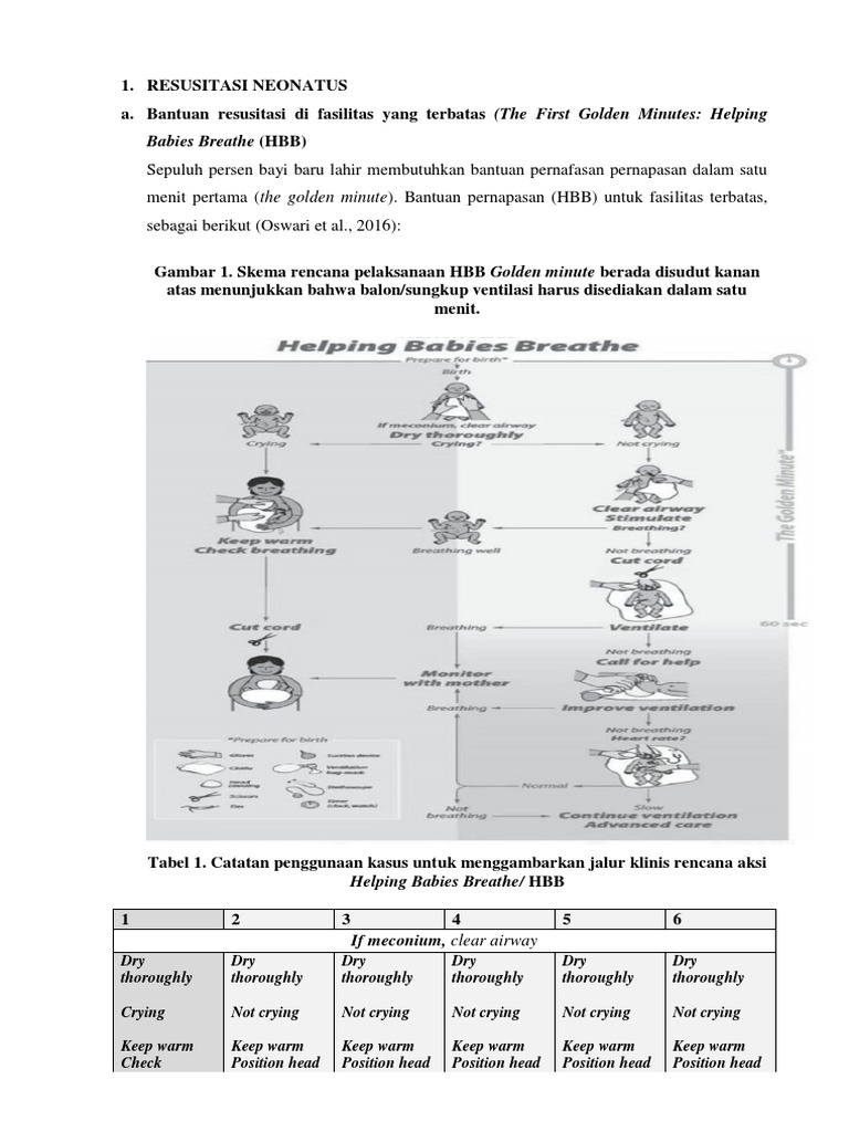 SPO Dan Bagan Alur Resusitasi Neonatus | PDF