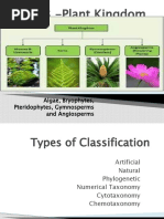 Animal Kingdom Flow Chart | PDF | Biology | Zoology