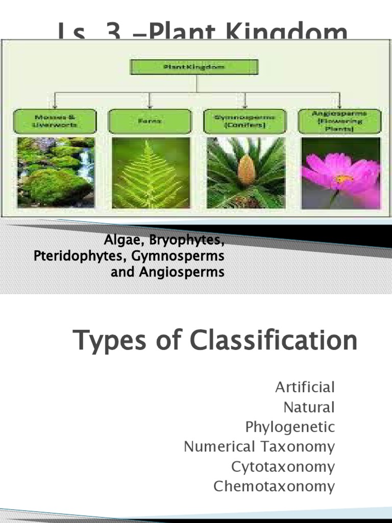 Ls 3 - Plant Kingdom: Algae, Bryophytes, Pteridophytes, Gymnosperms and ...