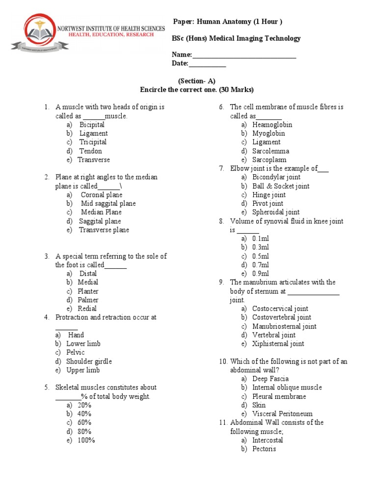 Paper: Human Anatomy (1 Hour) BSC (Hons) Medical Imaging Technology ...